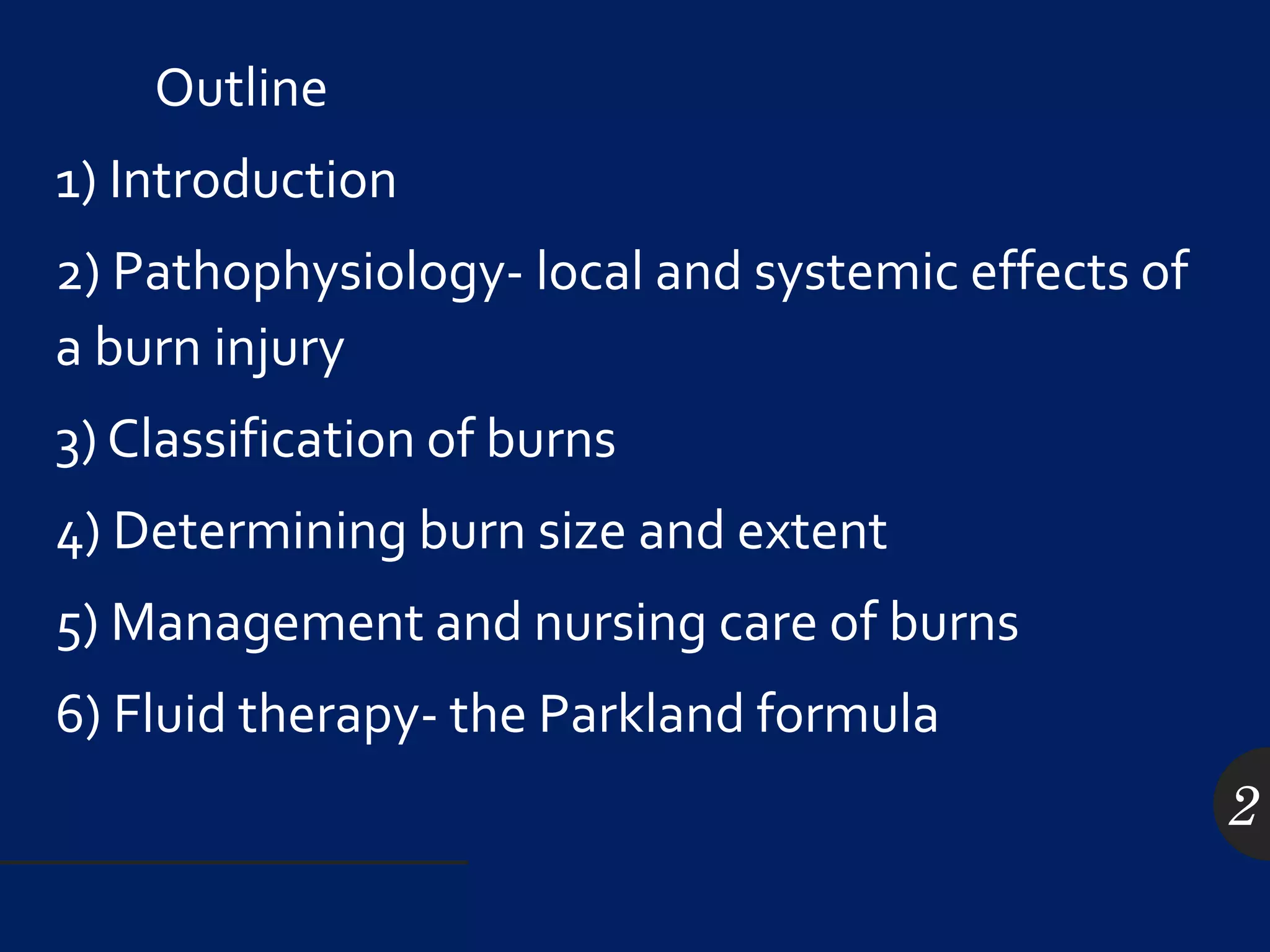 Burn Injuries: Management and Nursing Care | PDF