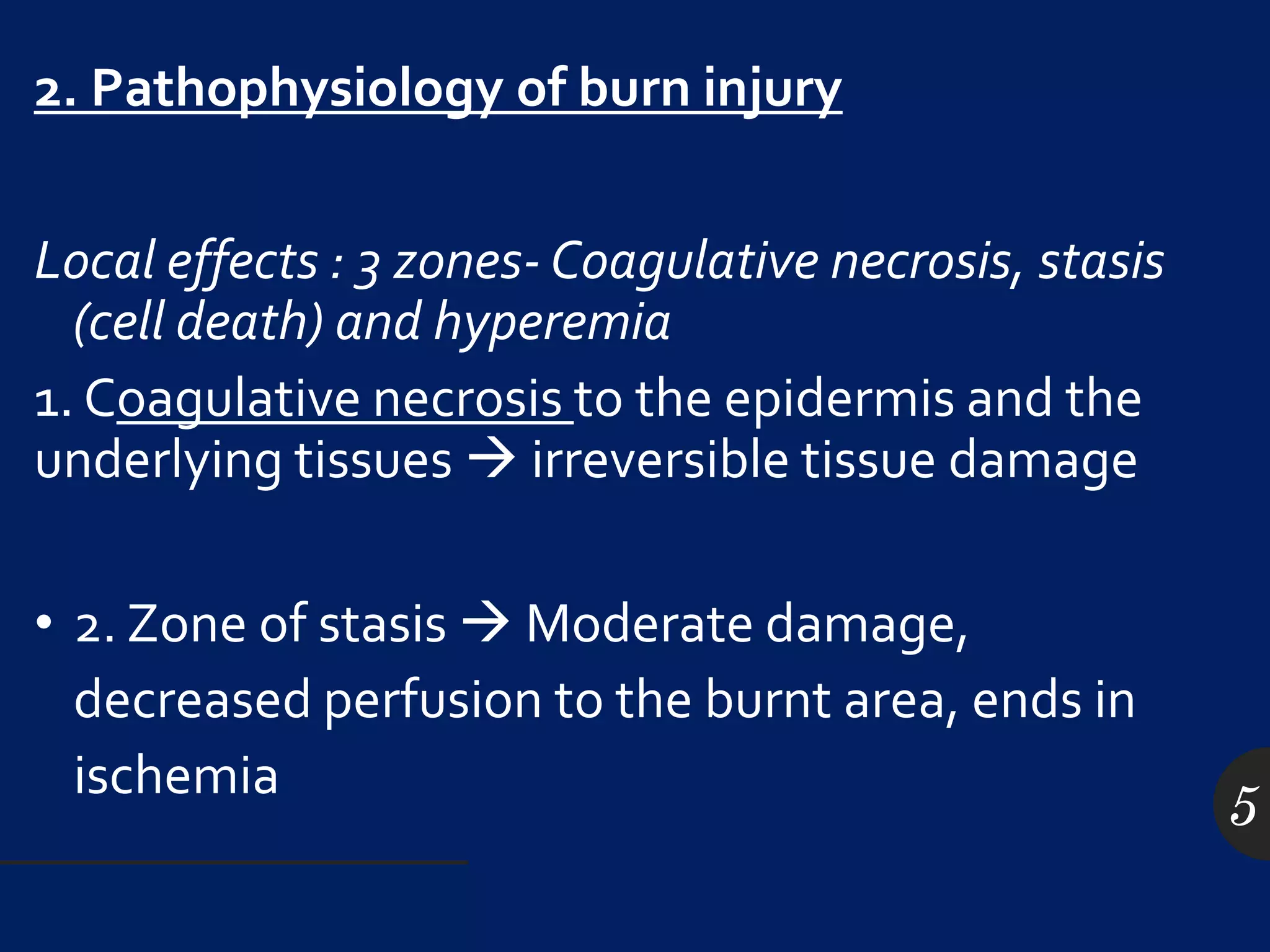 Burn Injuries: Management and Nursing Care | PDF