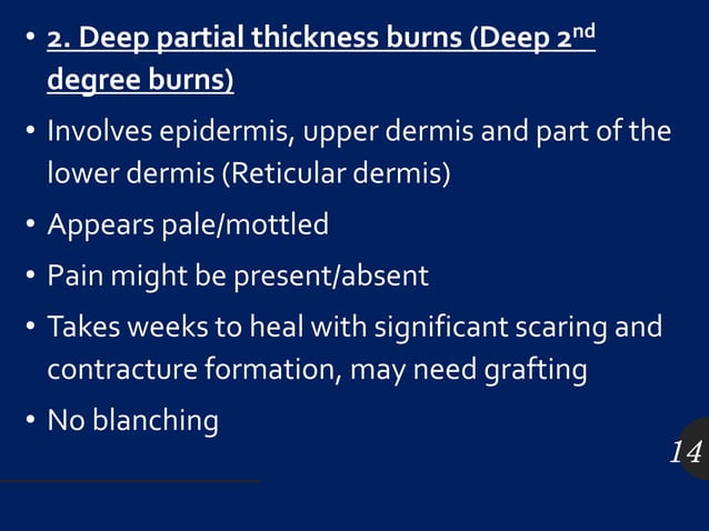 Burn Injuries: Management and Nursing Care | PDF | Death, Injury, or ...