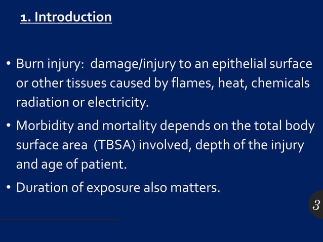 Burn Injuries: Management and Nursing Care | PDF | Death, Injury, or ...