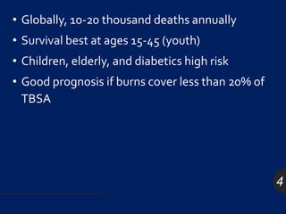 Burn Injuries: Management and Nursing Care | PDF