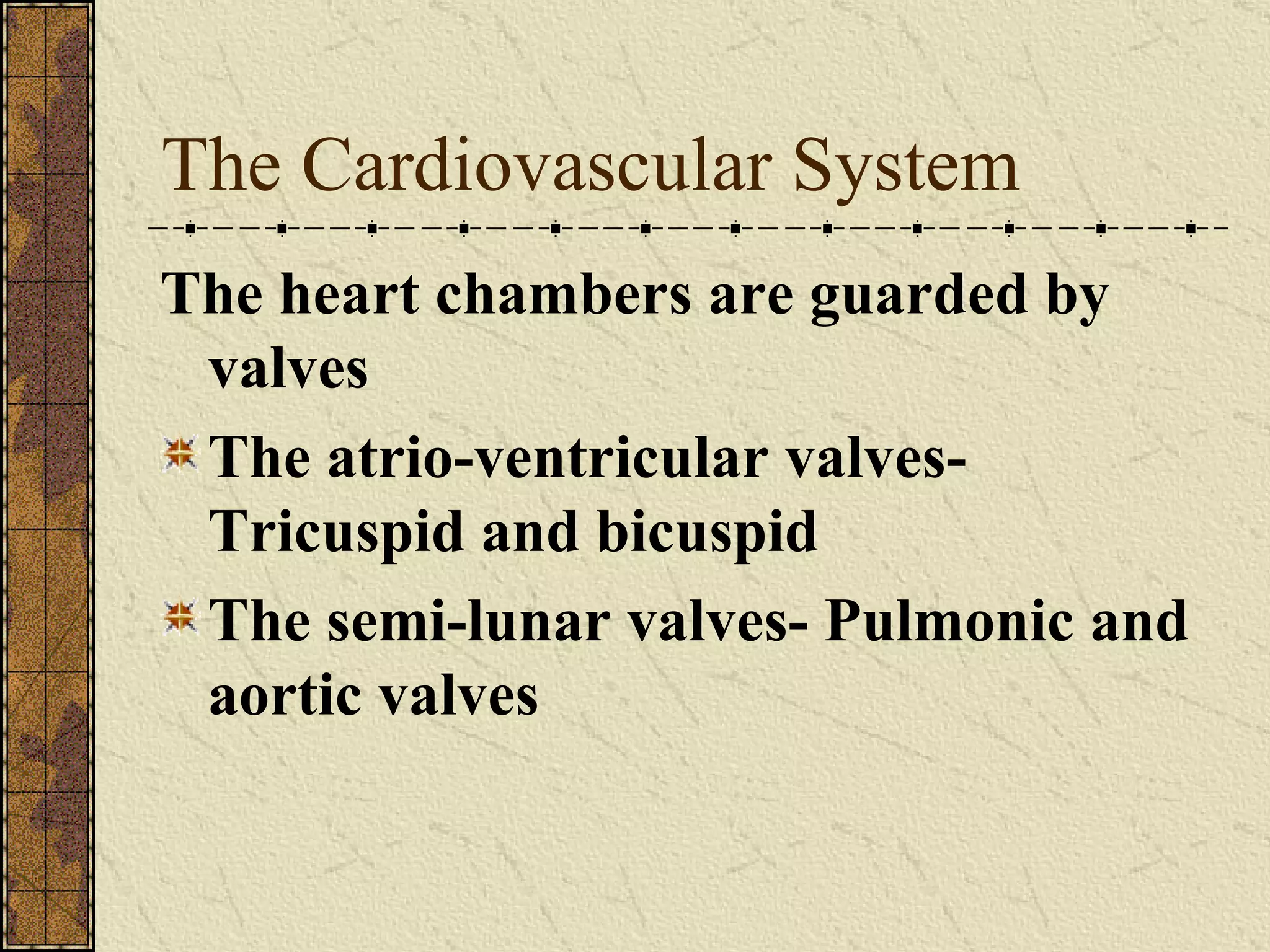 Nursing Cardio Vascular And Hematology | PPT