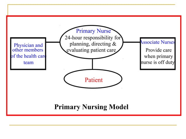 Nursing care delivery | PPT