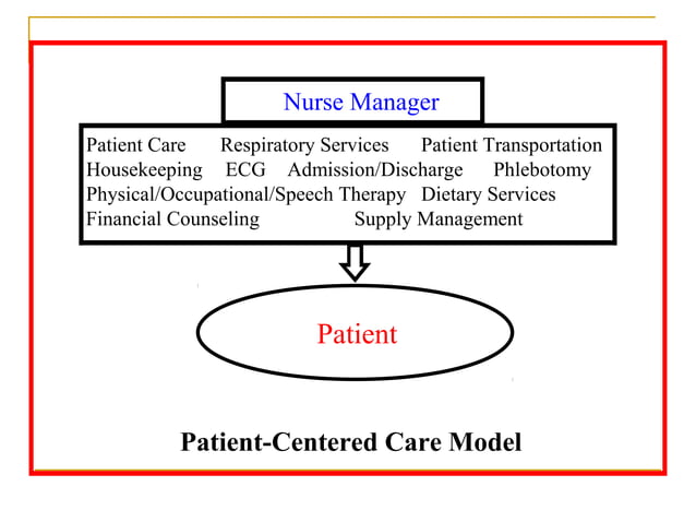 Nursing care delivery | PPT