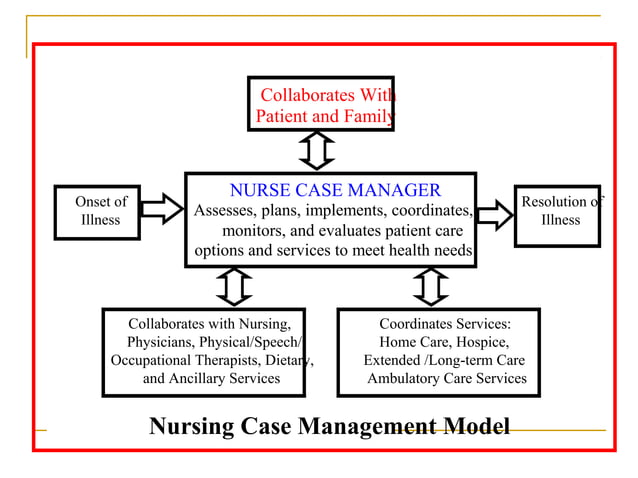 Nursing care delivery | PPT
