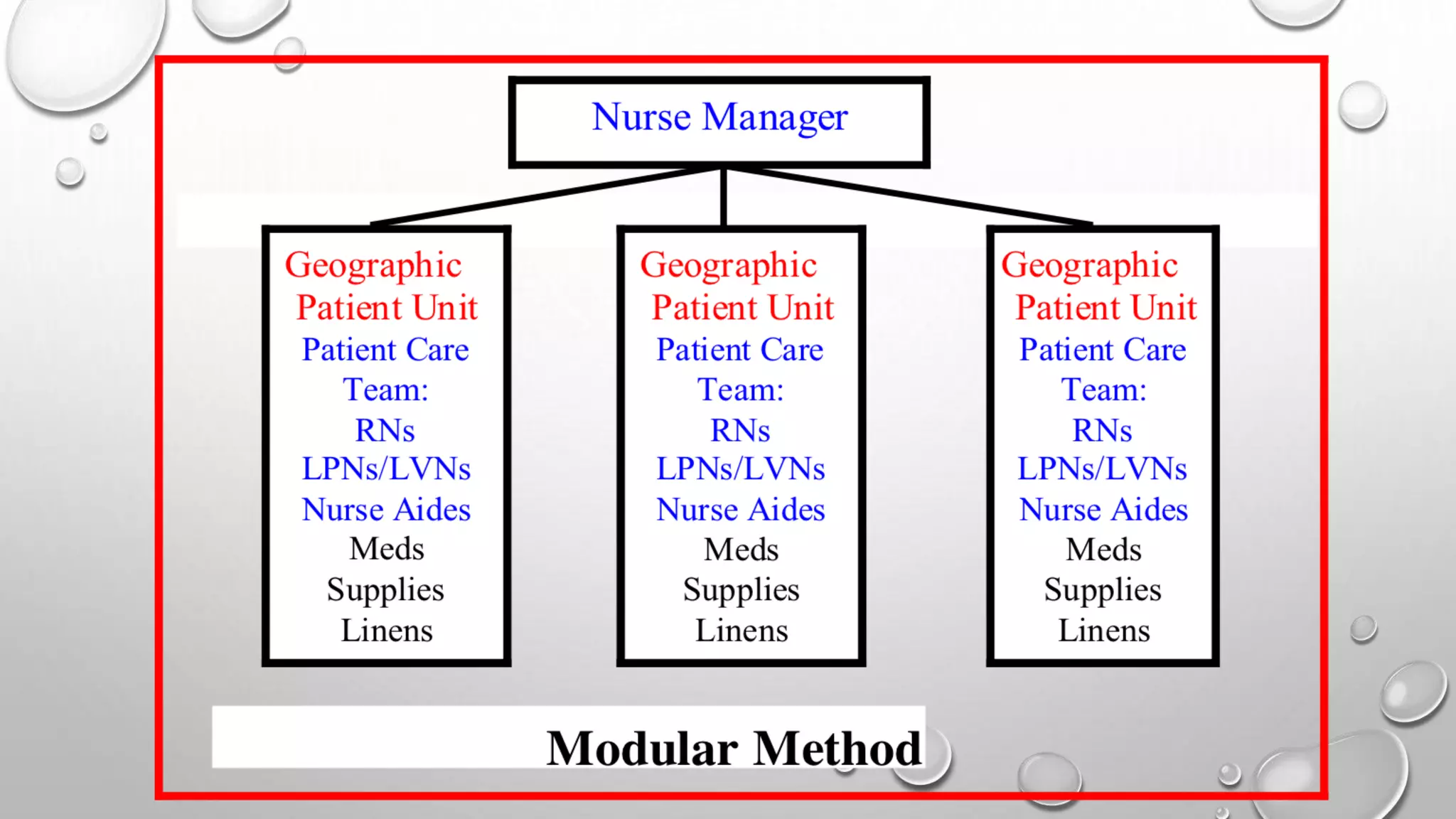 Nursing care delivery | PPTX