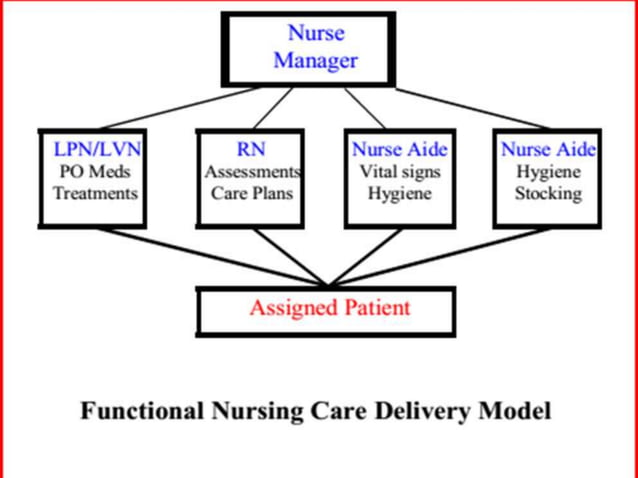 Nursing care delivery system | PPT