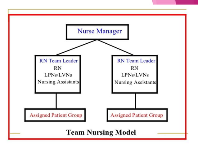 Nursing care delivery system | PPT