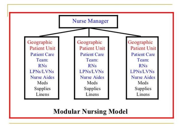 Nursing care delivery system | PPT
