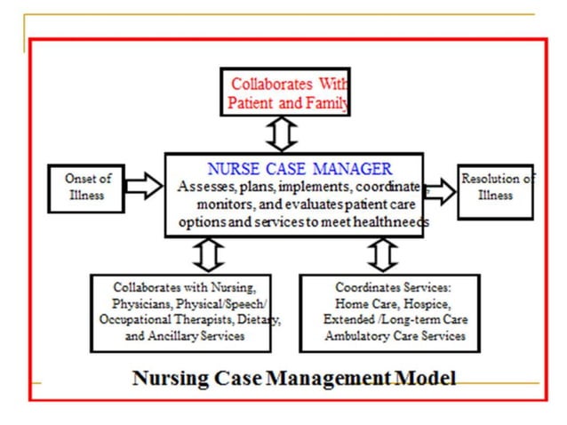Nursing care delivery system | PPT