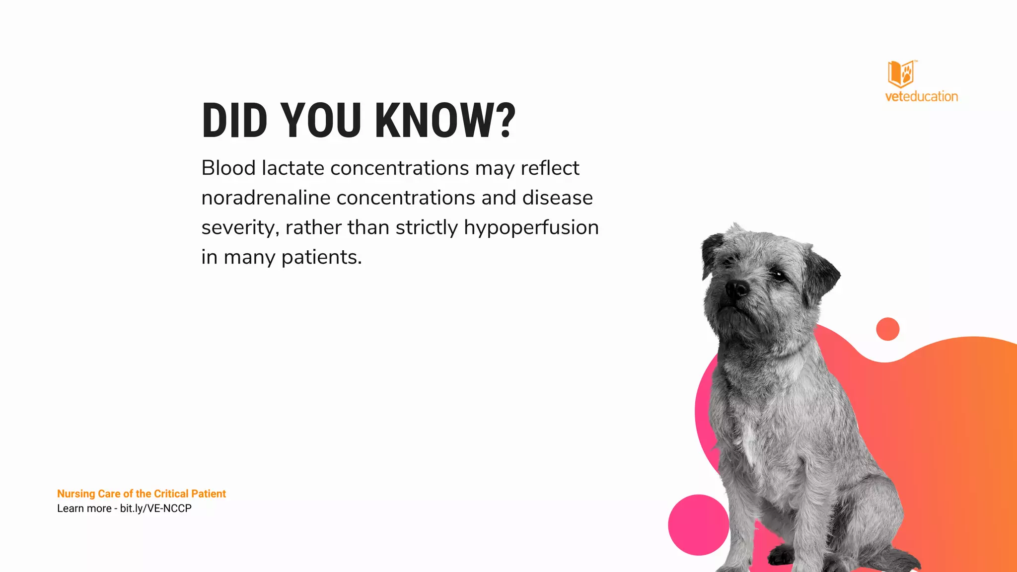 5 Interesting Facts you must know about Nursing Care of the Critical ...