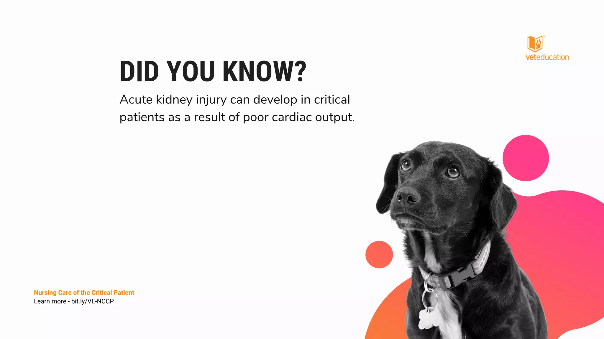 5 Interesting Facts you must know about Nursing Care of the Critical ...