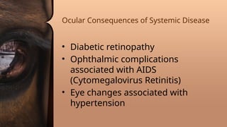 Nursing Care of Patients With Eye & Visual Disorders | PPTX