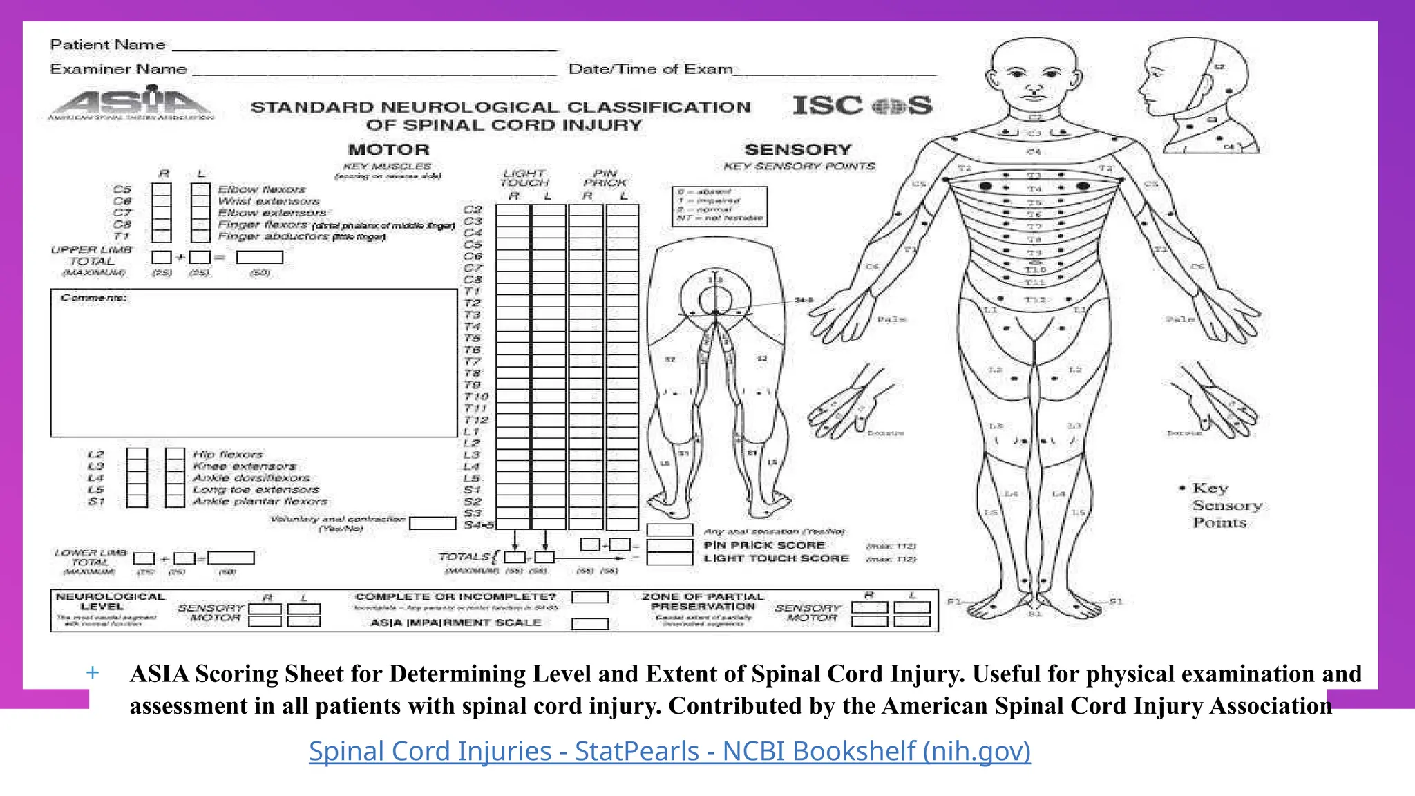 Nursing care of patient with spinal cord injury.pptx