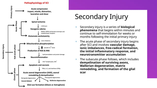 Nursing care of patient with spinal cord injury.pptx