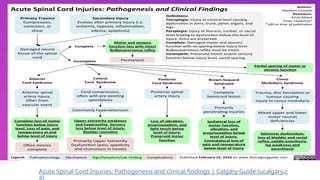 Nursing care of patient with spinal cord injury.pptx