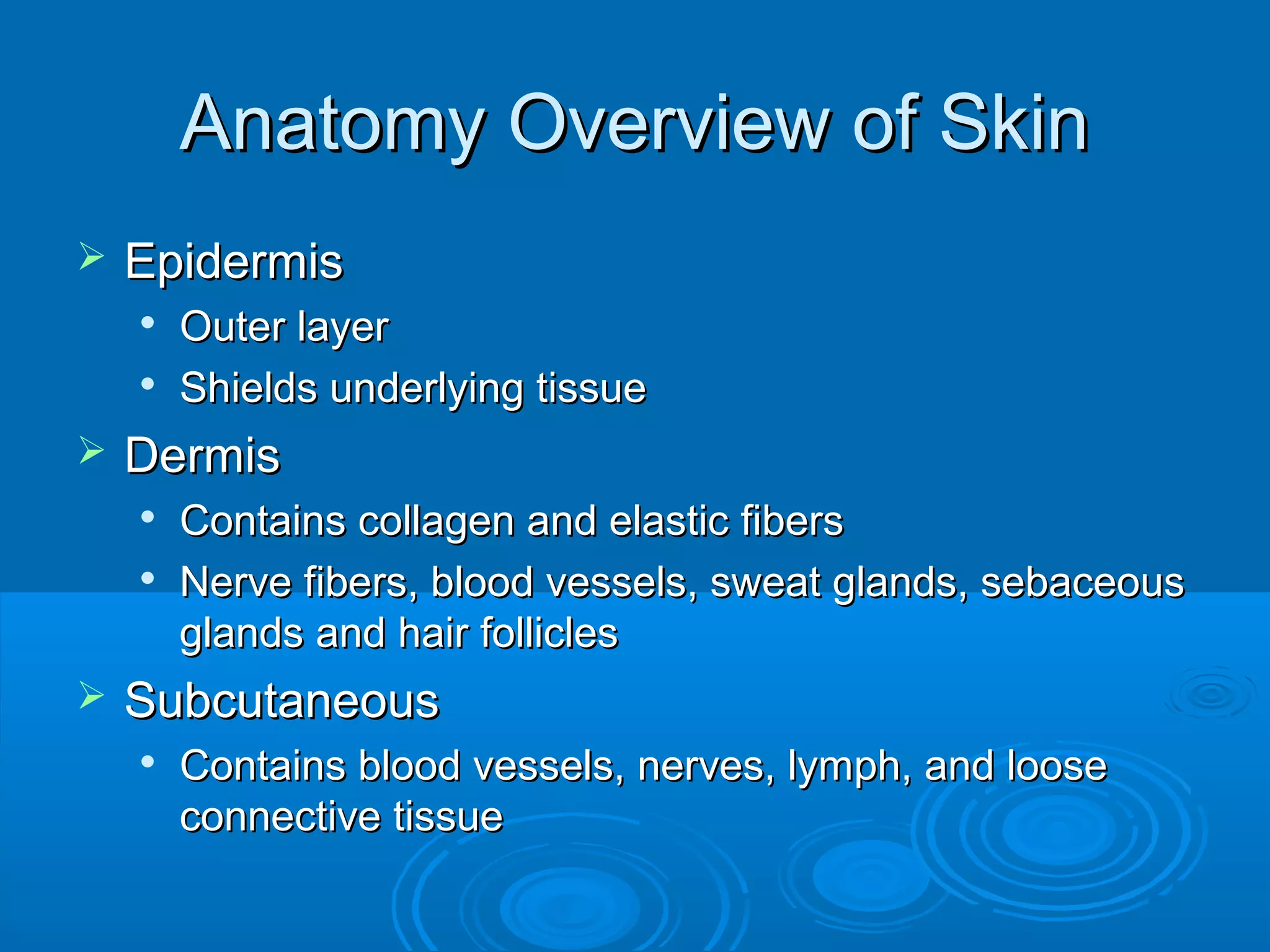 Nursing care of the integumentary System | PPT