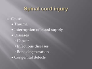 Nursing care of the patient with sci | PDF