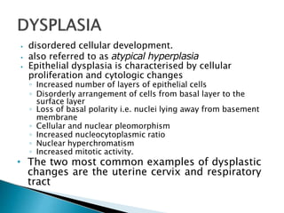 nursing class cellularadaptation and apoptosis.pptx
