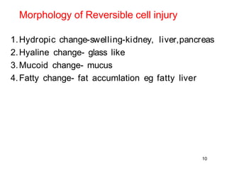 Nursing class lecture cell injury 2nd class.pptx