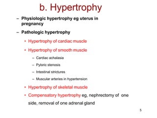 Nursing class lecture cell injury 2nd class.pptx