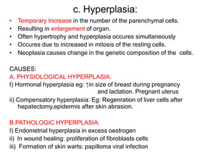 Nursing class lecture cell injury 2nd class.pptx