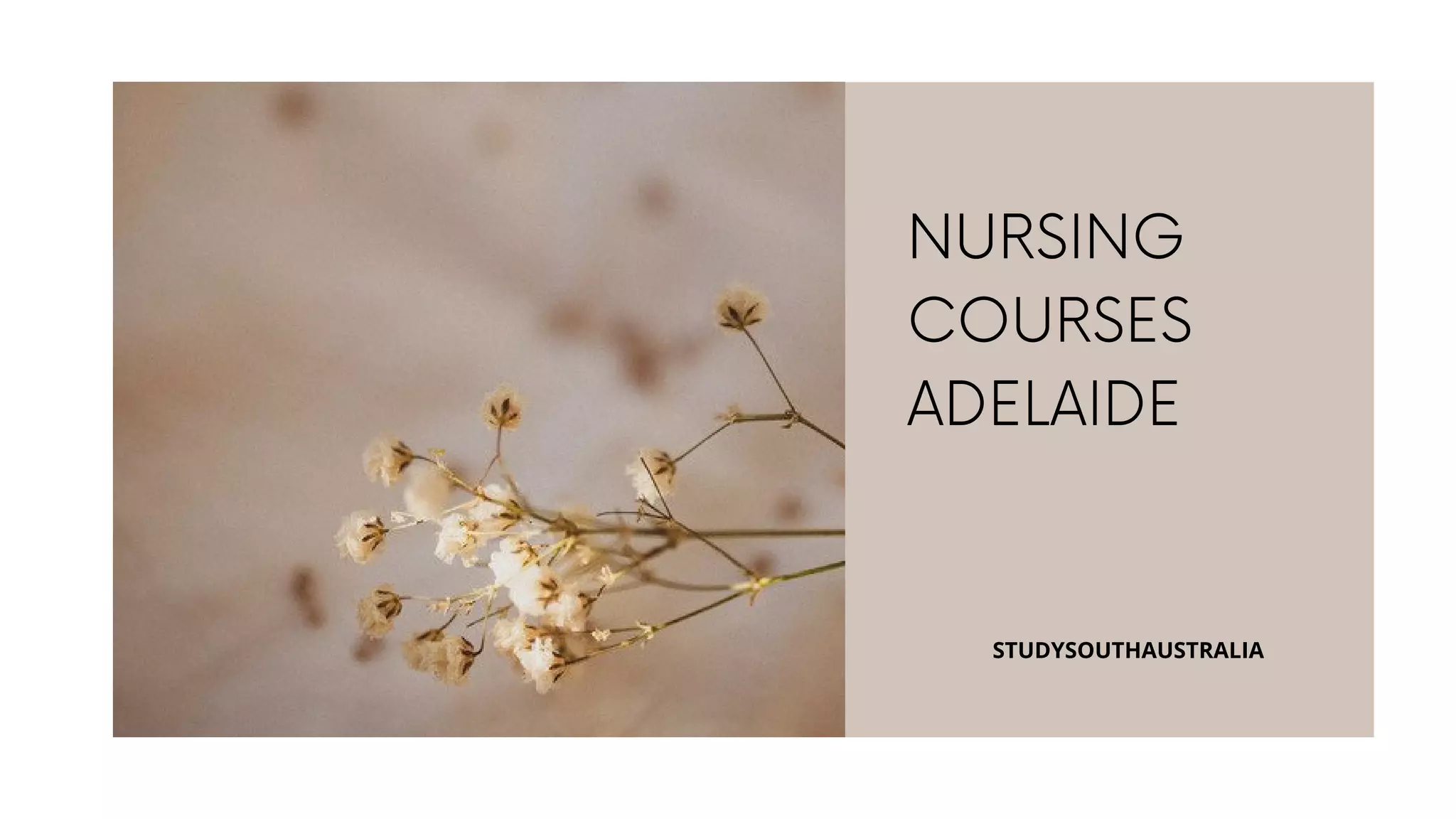 Nursing courses adelaide | PPT