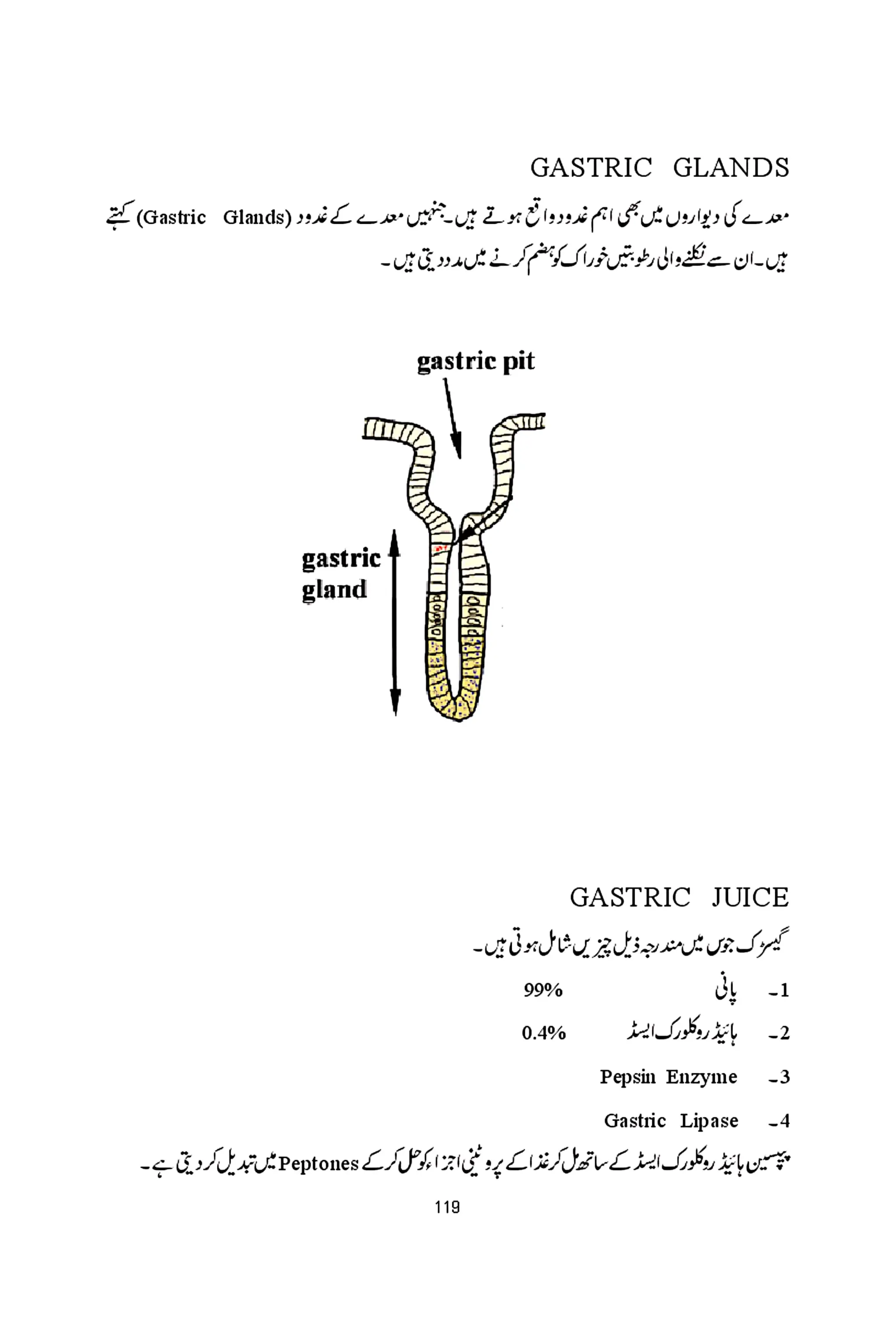 Nursing Guide Book (Urdu) .pdf