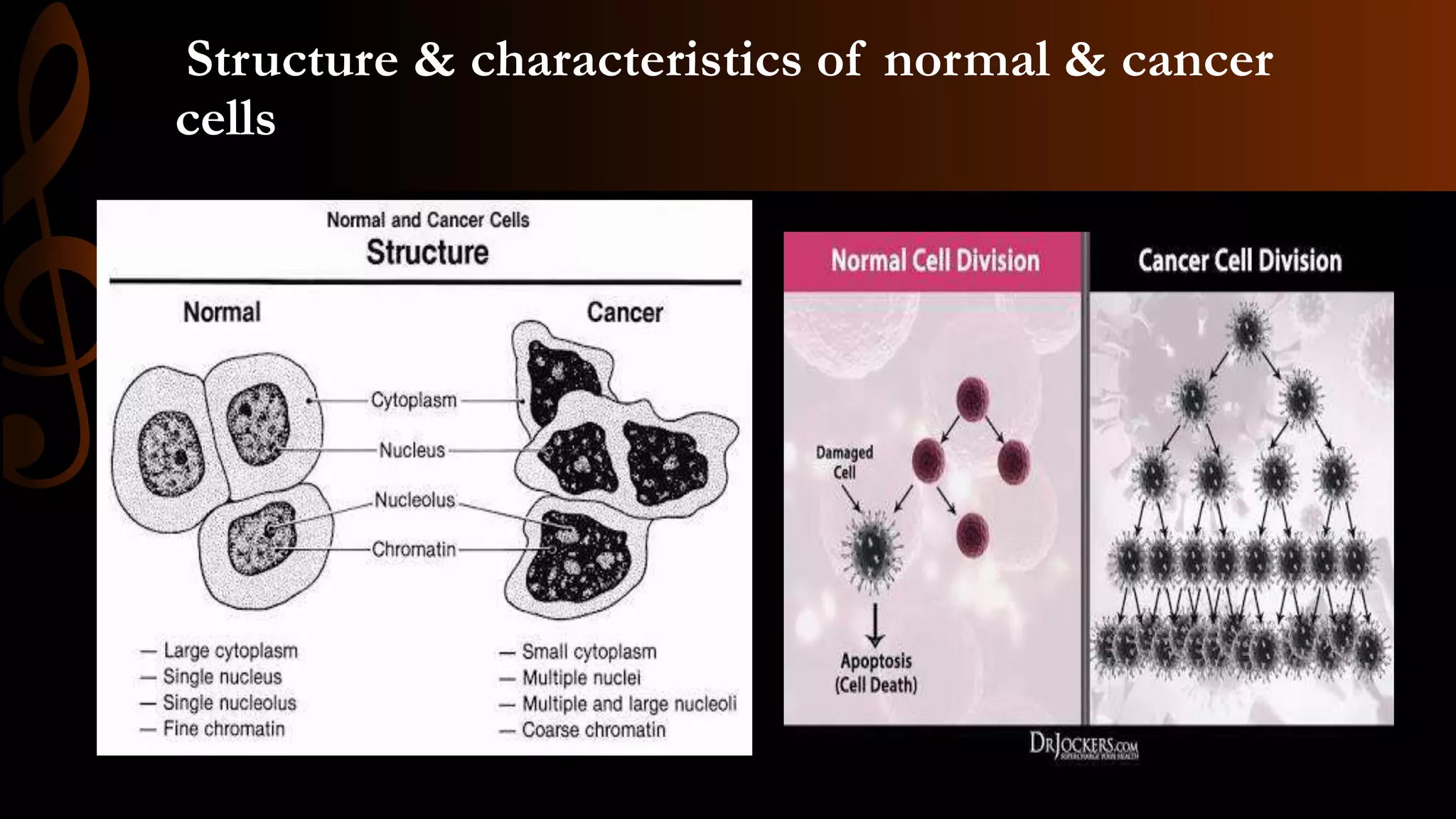 Nursing management of patients with oncological conditions | PPTX