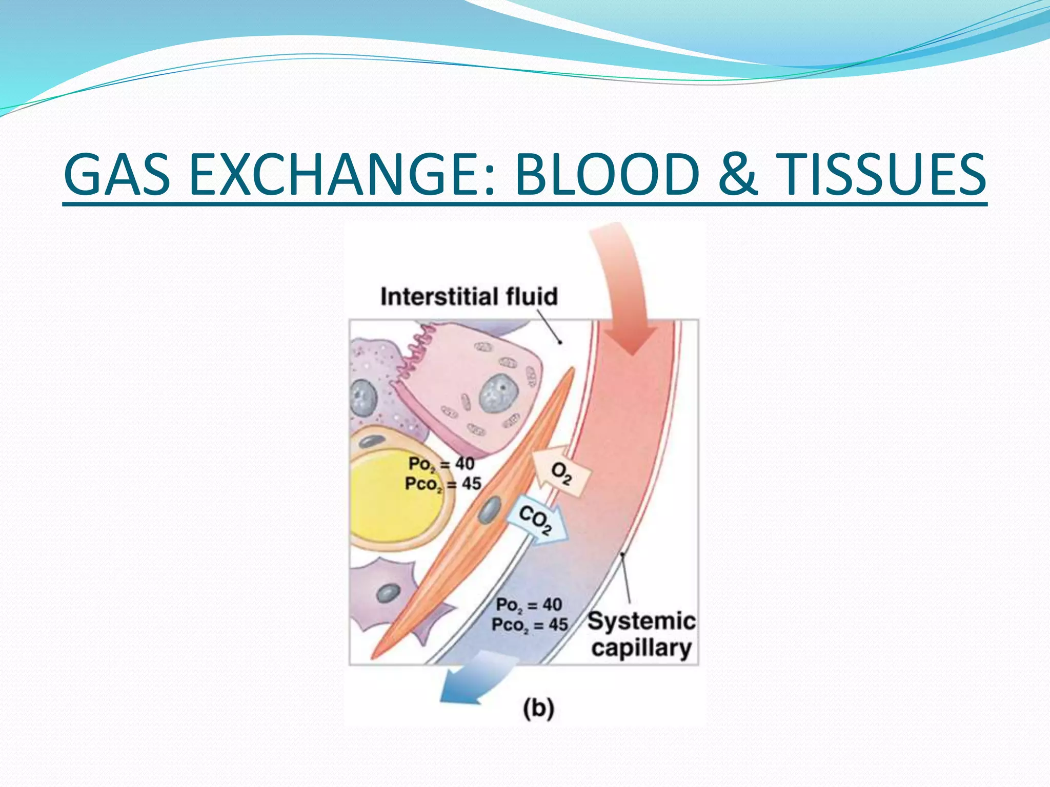 Nursing management of patients with oxygen insufficiency | PPTX