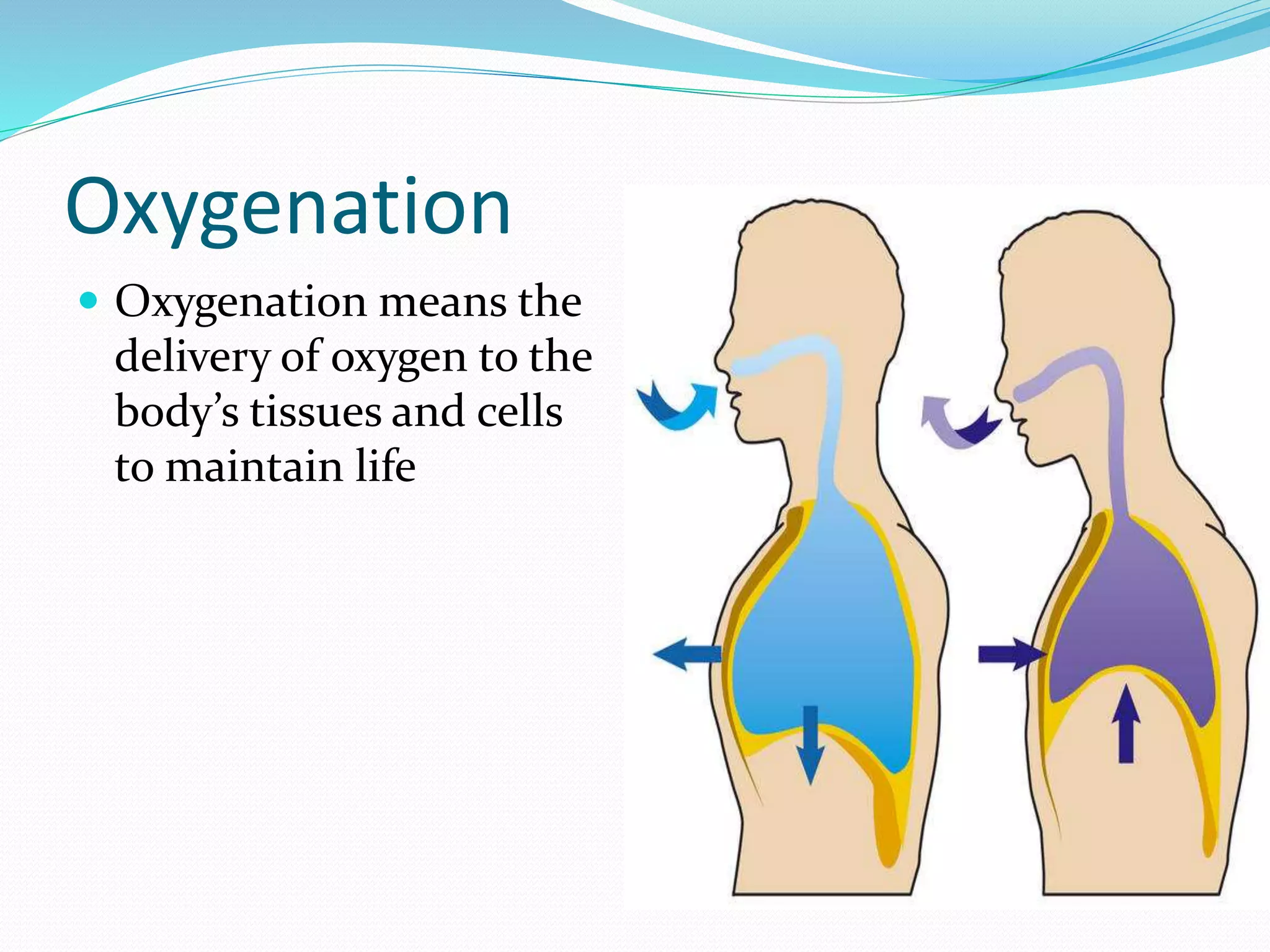 Nursing management of patients with oxygen insufficiency | PPTX