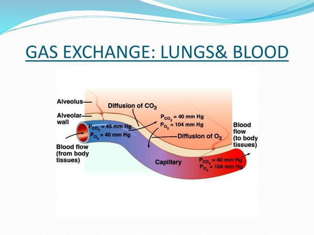 Nursing management of patients with oxygen insufficiency | PPTX