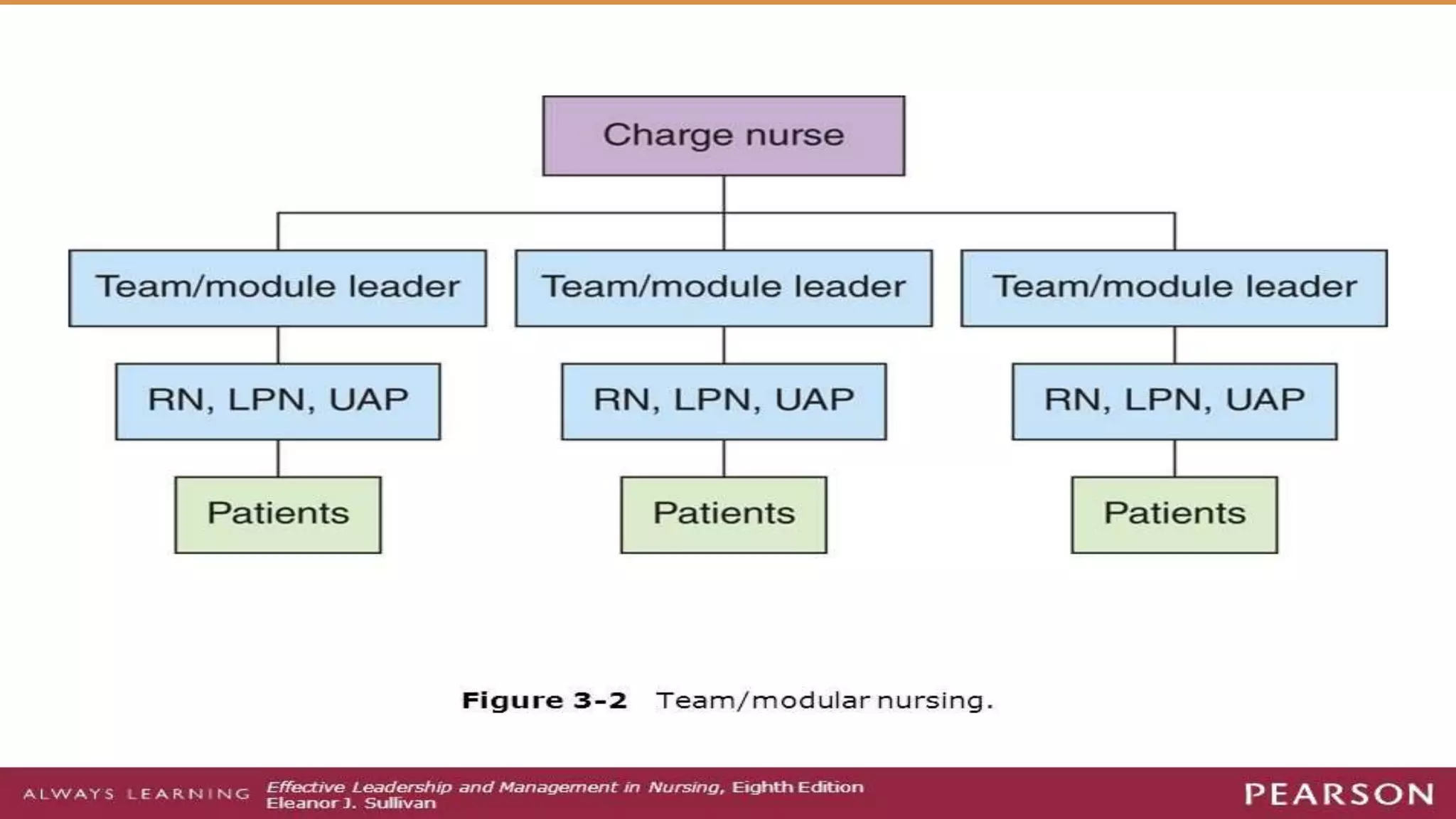 Nursing models | PPTX