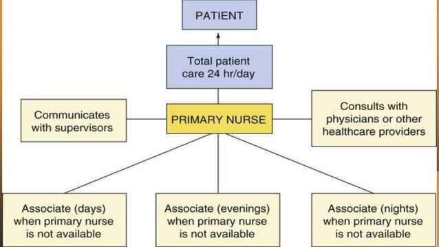 Nursing models | PPTX | Healthcare Industry | Industries