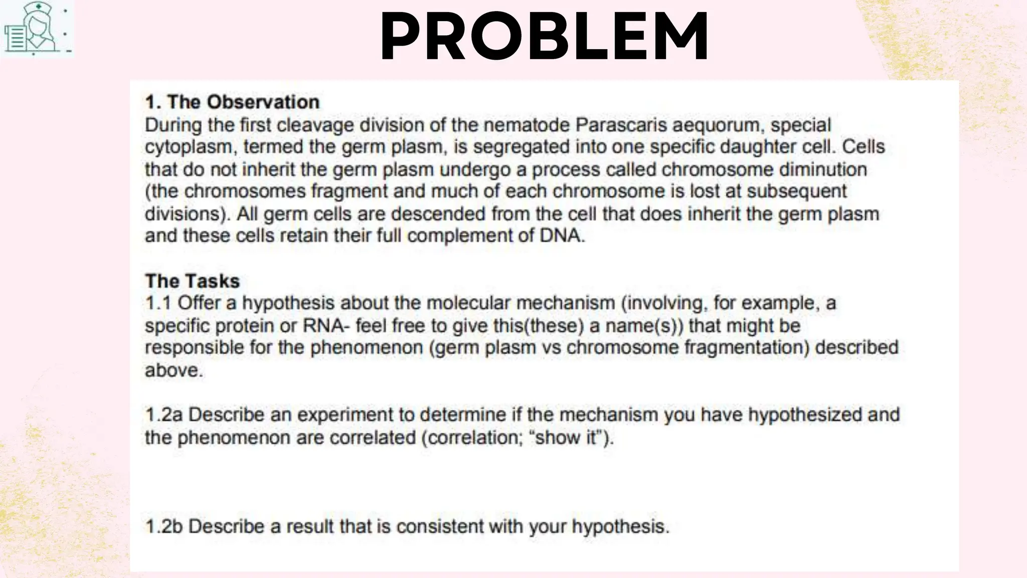 Exploring Germ Plasm Segregation and Chromosome Fragmentation ...
