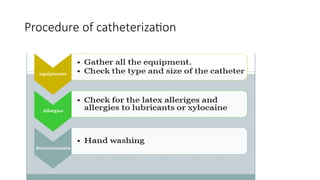 Clinical prsesentation on anatomy of femal and male catherization ...