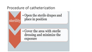Clinical prsesentation on anatomy of femal and male catherization ...