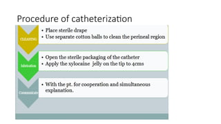 Clinical prsesentation on anatomy of femal and male catherization ...