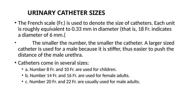 Clinical prsesentation on anatomy of femal and male catherization ...