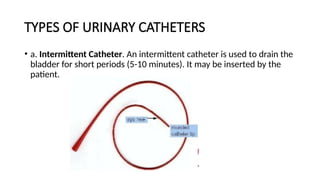 Clinical prsesentation on anatomy of femal and male catherization ...