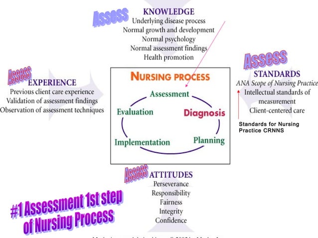 Nursing Process | PPT