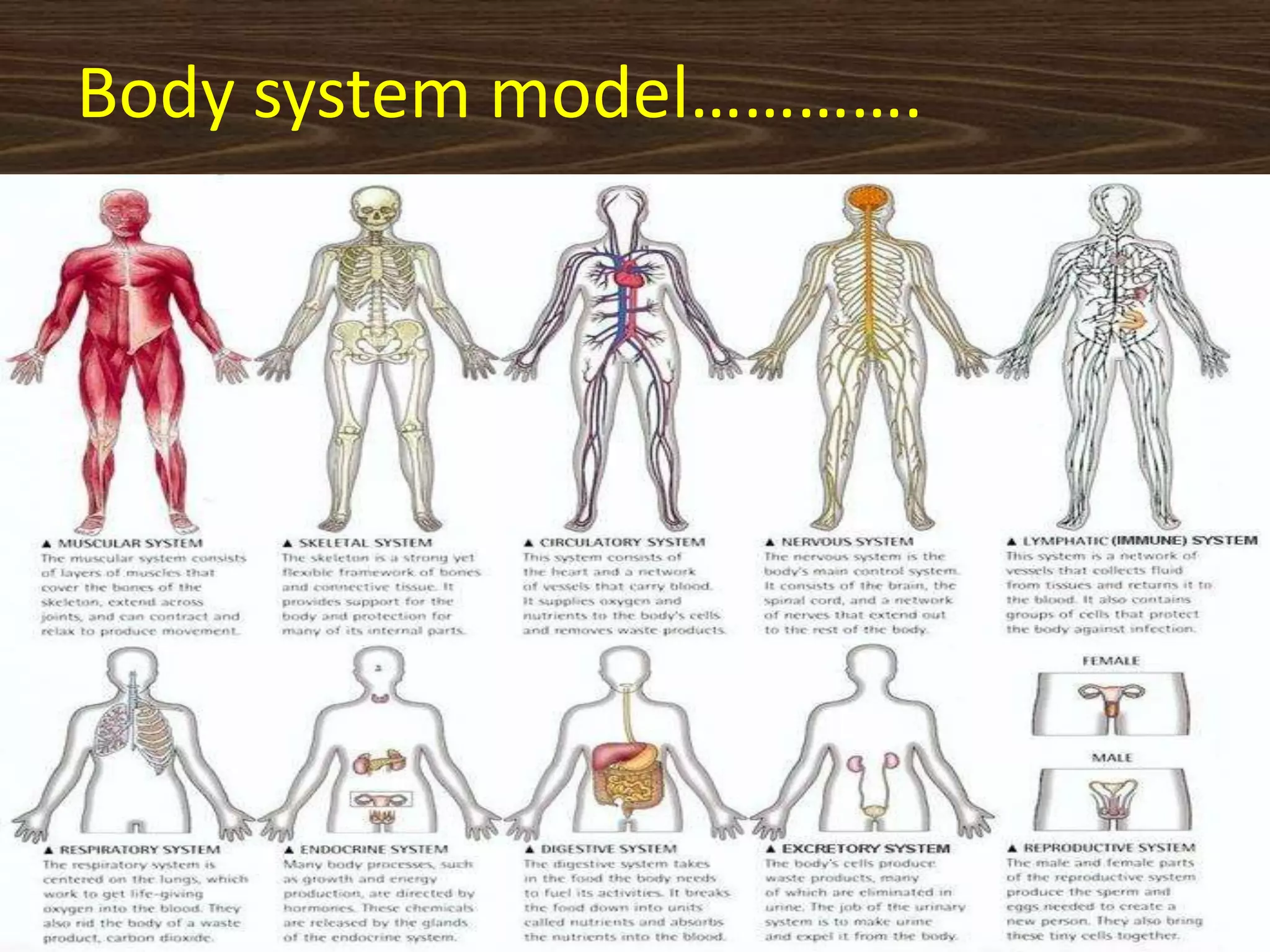 Nursing process,,,Assessment | PPTX