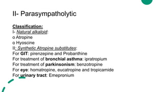 nursing sympathatic system.pptx