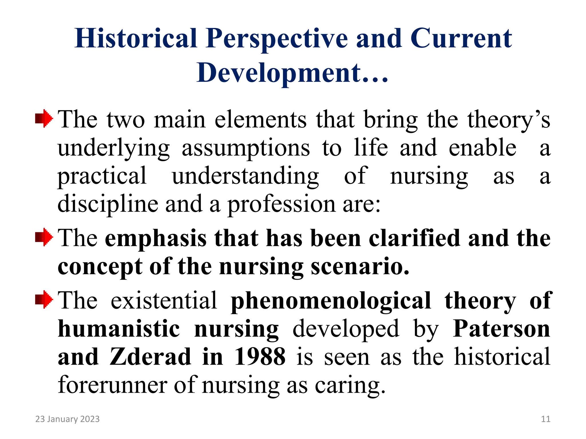 Nursing Theory Seminar presentation by Rebira | PDF