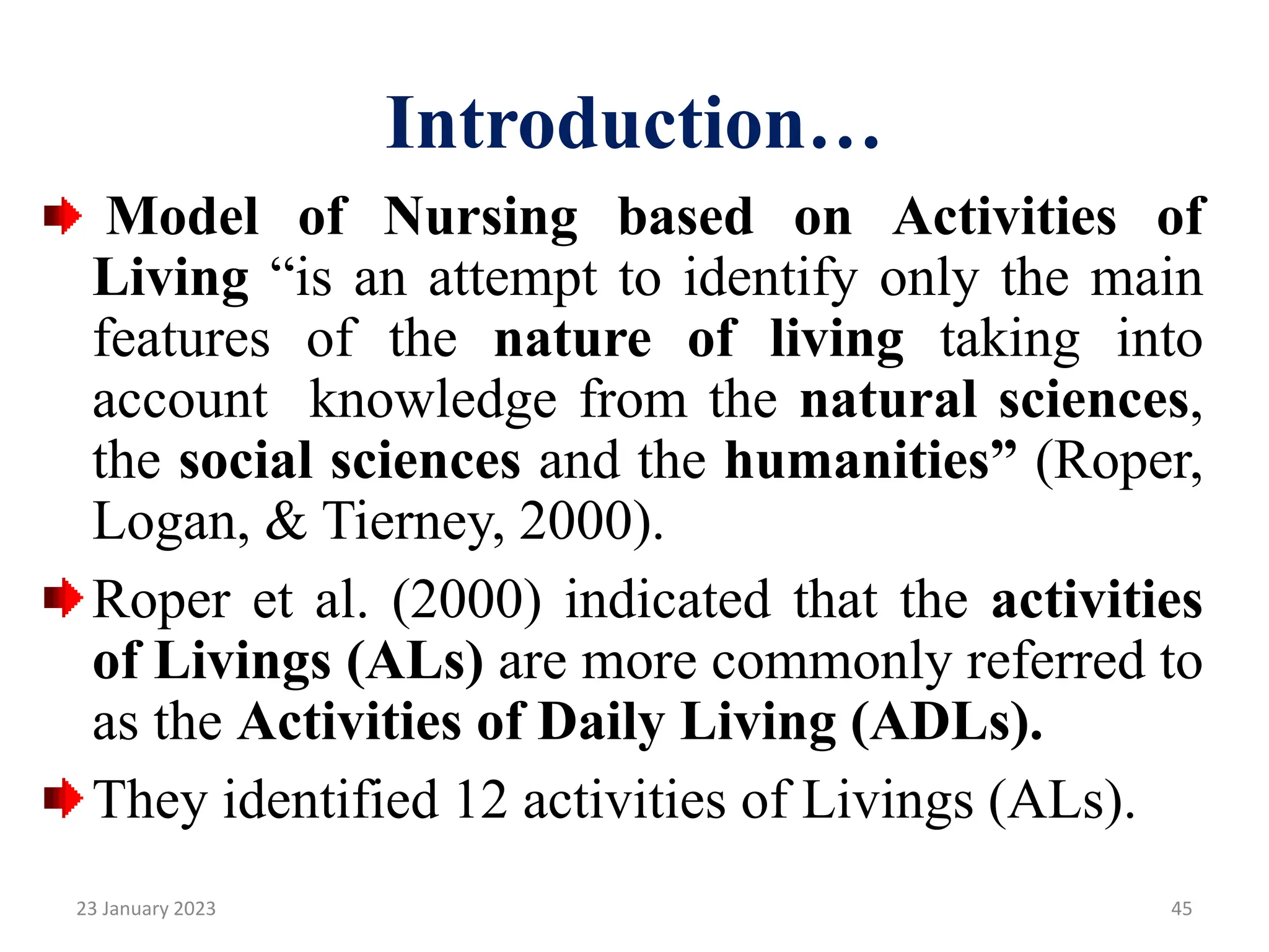 Nursing Theory Seminar presentation by Rebira | PDF