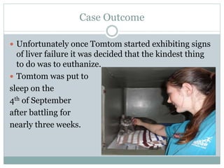 Nursing tomtom | PPTX