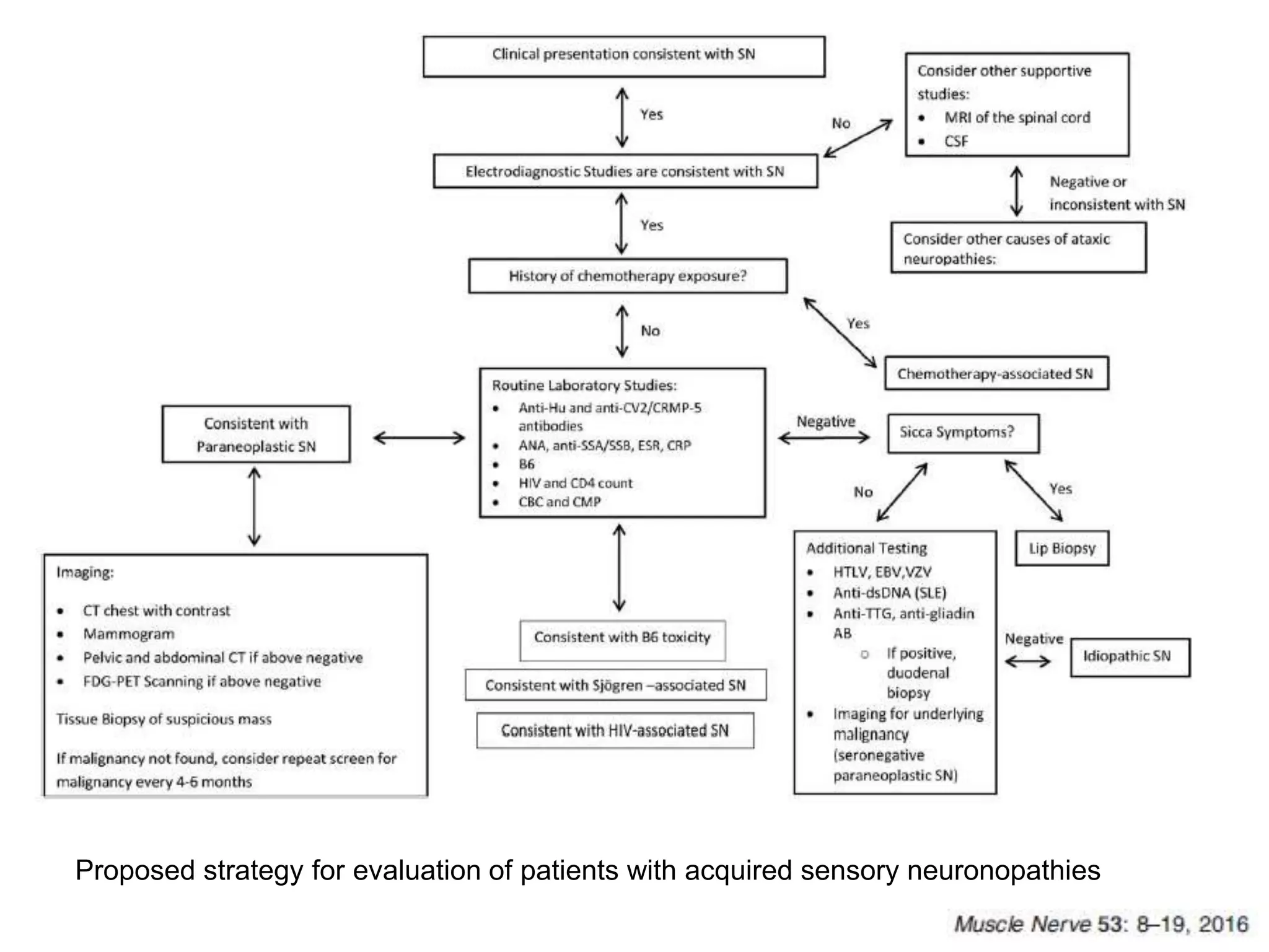 Sensory Neuropathy and neuronopathy : Case scenario and Approach | PPT