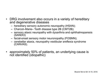 Sensory Neuropathy and neuronopathy : Case scenario and Approach | PPT
