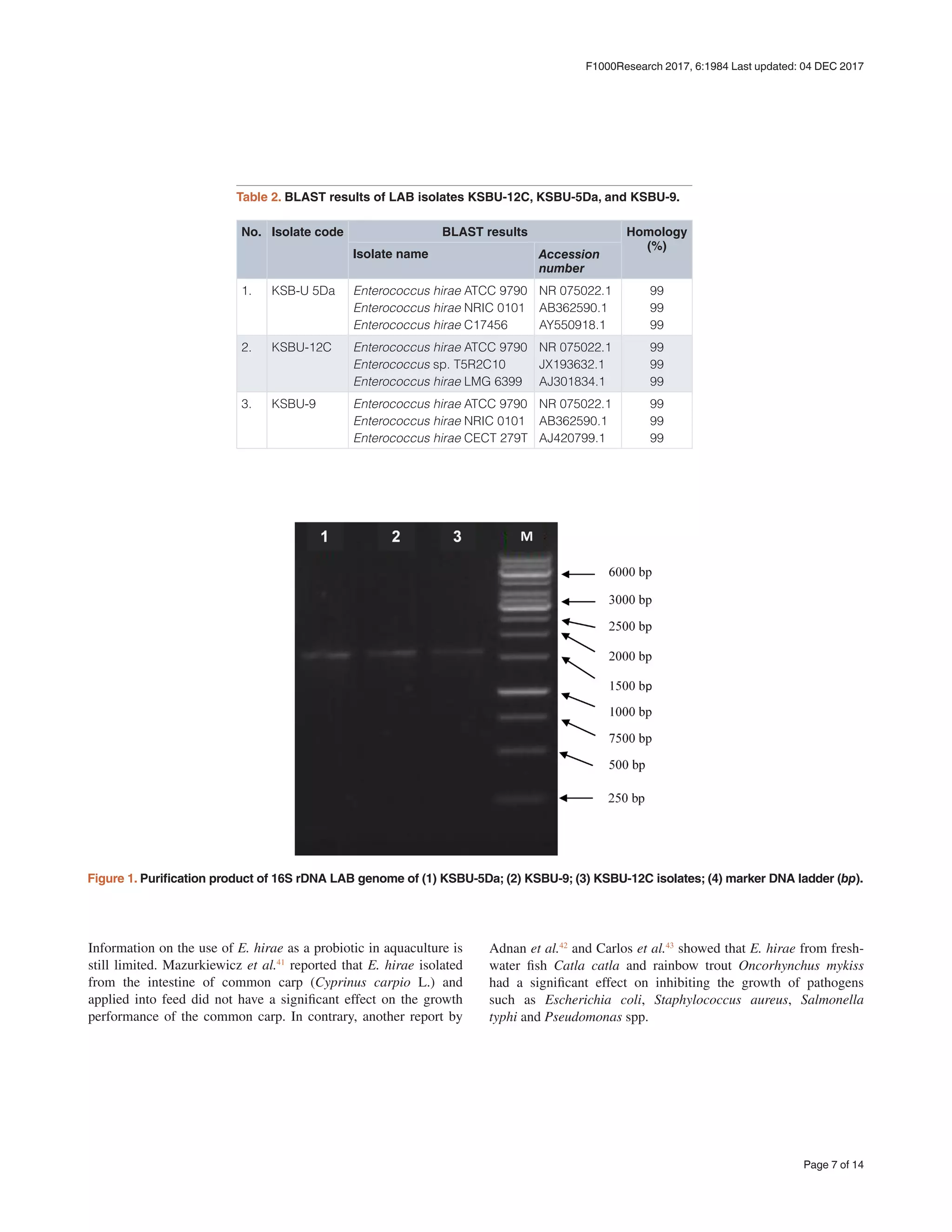 Phenotype and genotype of lactic acid bacteria (LAB) isolated from the tiger grouper Epinephelus ...