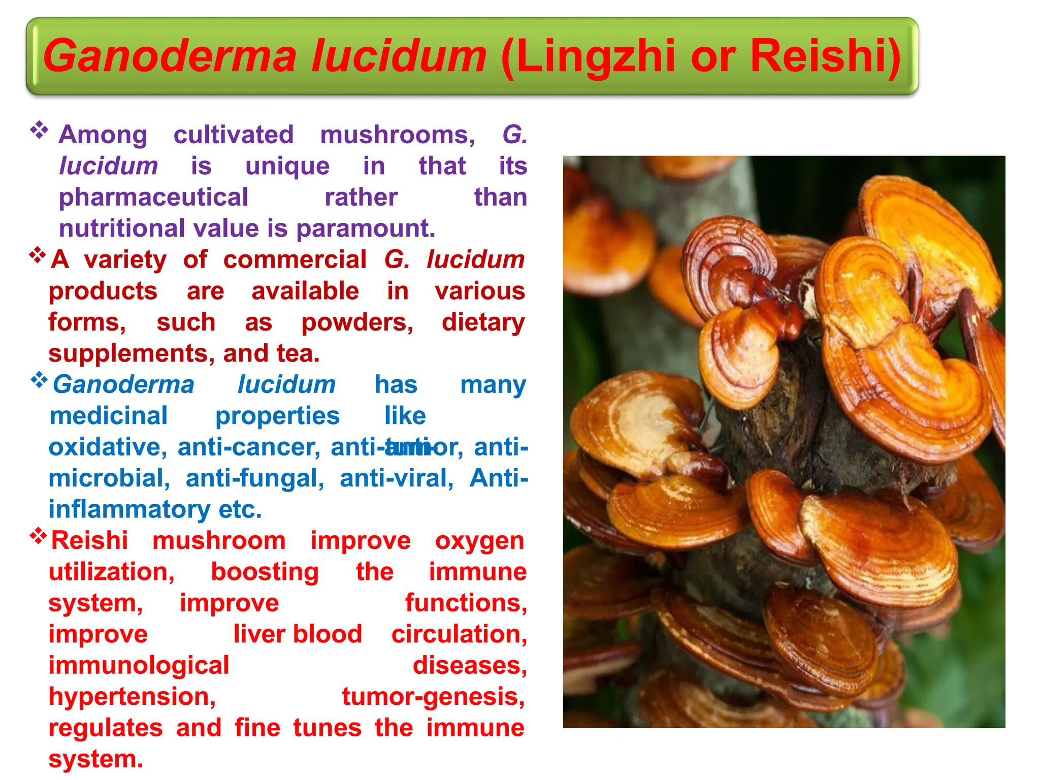 Nurtritional and medicinal value of mushrooms.pptx